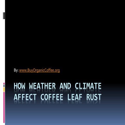 Tree Canopy Cover and Coffee Leaf Rust | PPT