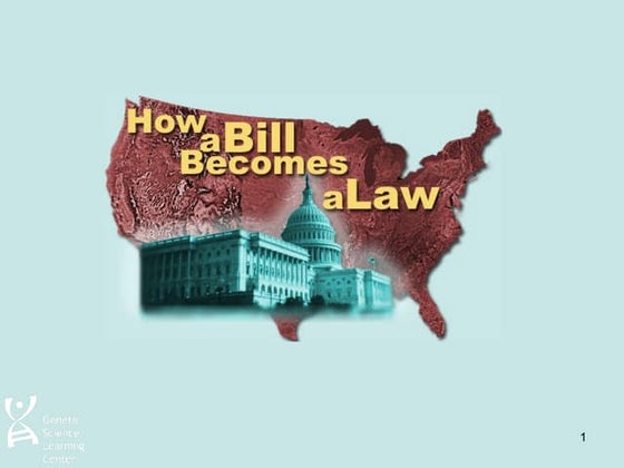 Government- How a Bill Becomes a Law | PPT