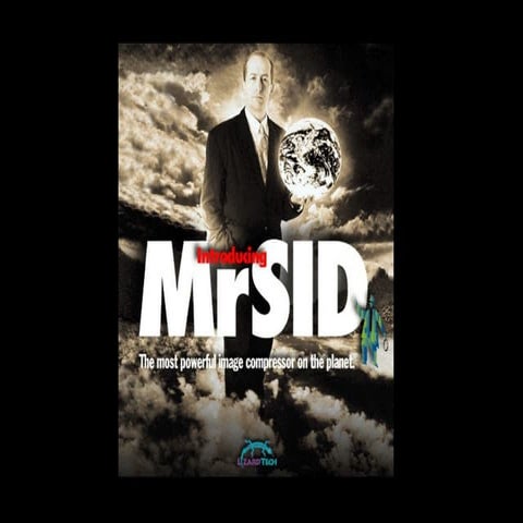 MrSID | PPT
