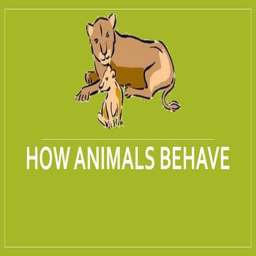 How animals behave | PPT