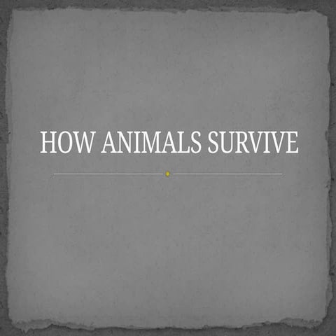 HOW_ANIMALS_SURVIVE and adapt in habitats-1.pptx