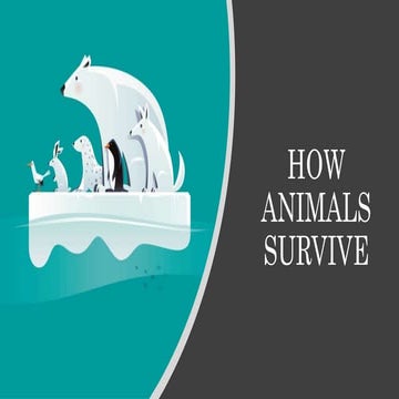 HOW ANIMALS SURVIVE.pptx