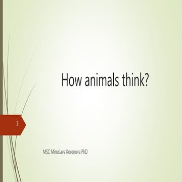 How animals think | PPT