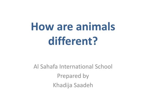 Animals | PPT