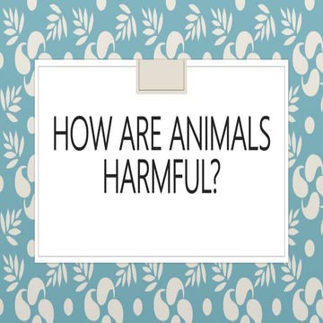 How Are Animals Harmful.pptx