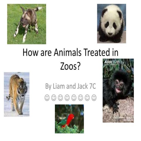 How are animals treated in zoos | PPTX