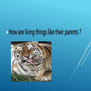Animals and their young | PPTX