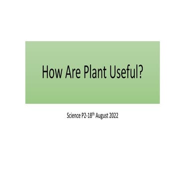 How Are Plant Useful.pptx