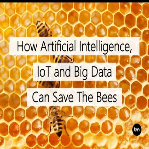 How Artificial Intelligence, IoT and Big Data Can Save The Bees | PPTX