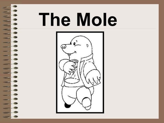 The mole concept | PPTX