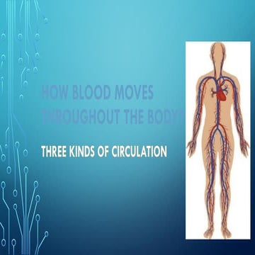 How Blood Moves Throughout the Body.pptx