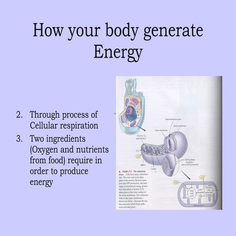 How bodygenerateenergy | PPT