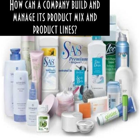 How can a company build and manage its product mix and product lines | PDF