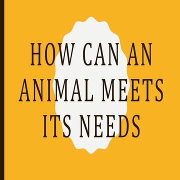 How can an animal meets its needs | PPTX