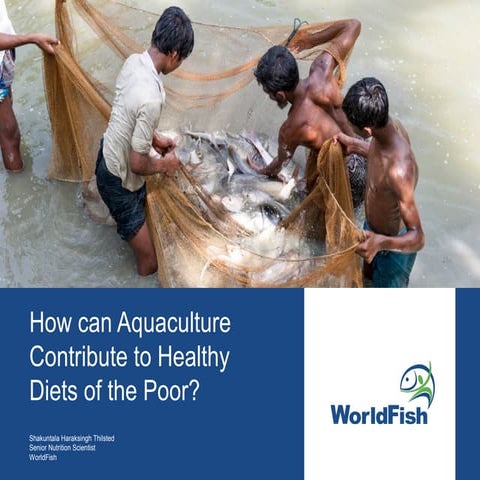 How can aquaculture contribute to healthy diets of the poor? | PPT