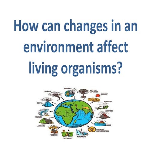 How can changes in an environment affect living | PPT