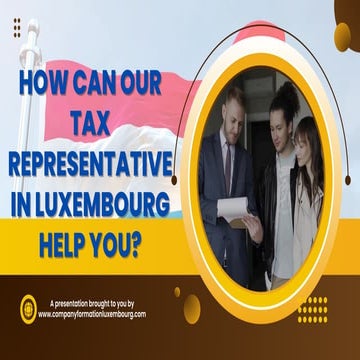 How Can Our Tax Representative in Luxembourg Help You? | PDF