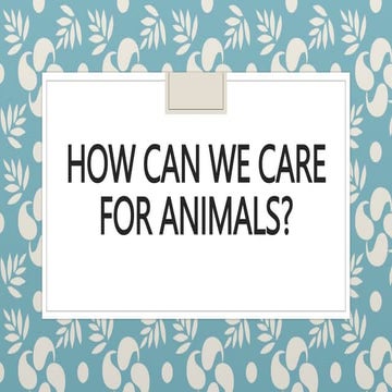 How Can We Care For Animals.pptx