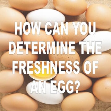 HOW CAN YOU DETERMINE THE FRESHNESS OF AN EGG.pptx
