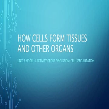 How cells form tissues and other organs | PPT