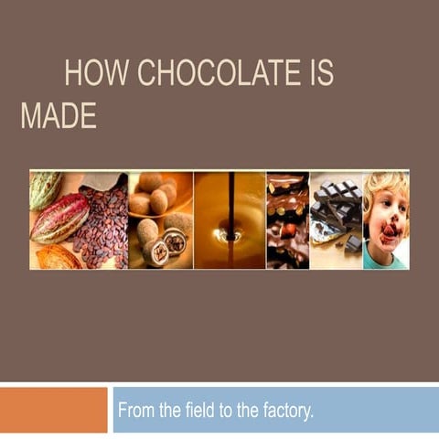 How chocolate is made | PPTX