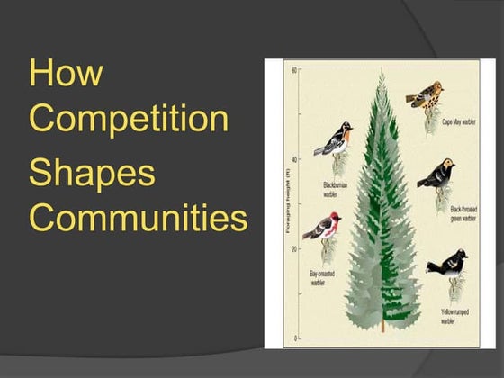 Habitat & niche | PPT