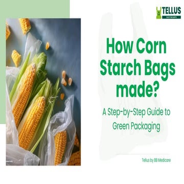 How cornstarch is made? A Step-by-Step Guide to Green Packaging.pdf