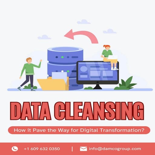 How Data Cleansing Services Pave the Way for Digital Transformation | PDF