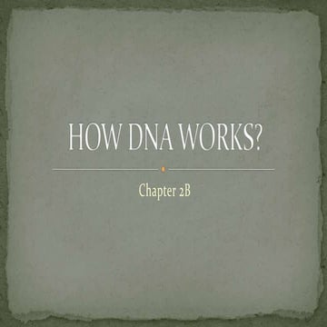 AS Biology - How DNA works? | PPTX