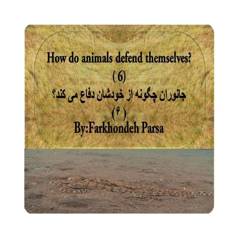 How do animals defend 5-6 | PPTX