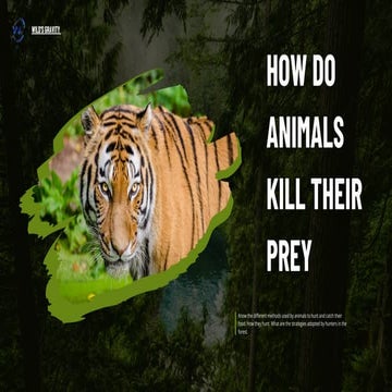 See How do animals kill their prey for food | PDF