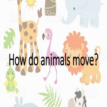 How do animals move | PPT