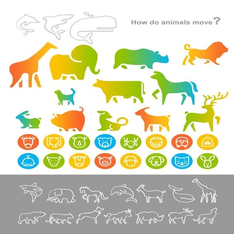 How do animals move | PPTX