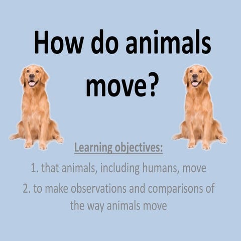 how_do_animals_move_ppt[1].ppt