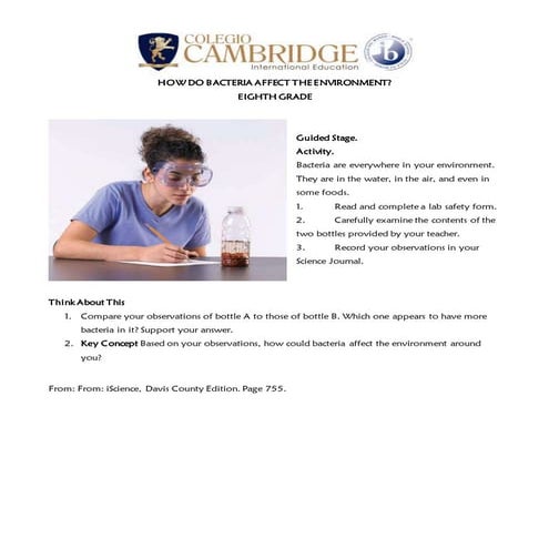 How do bacteria affect the environment | PDF