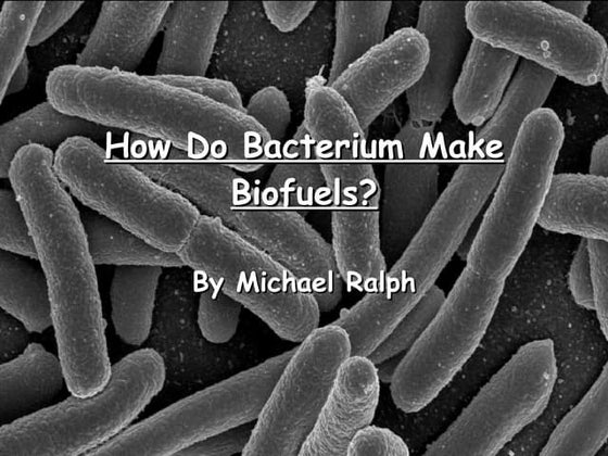 Biofuels using bacteria final | PPTX | Biotech and Biomedical Industry ...