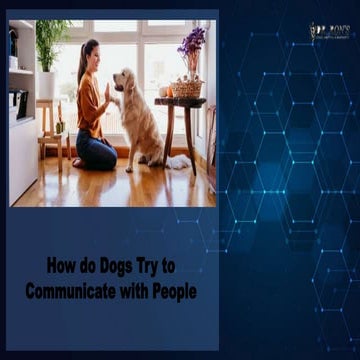 How do Dogs Try to Communicate with People | PPTX | Allergies ...