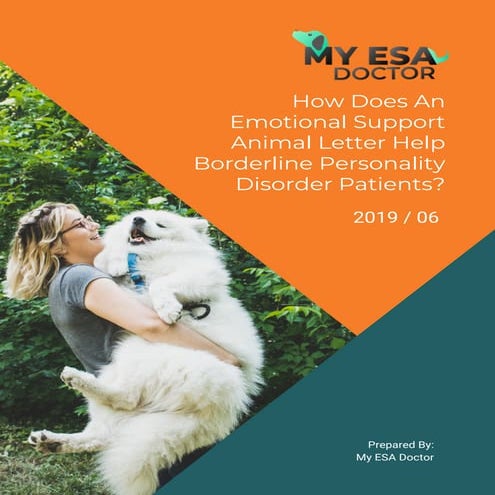 Does An Emotional Support Animal Letter Help Borderline Personality ...