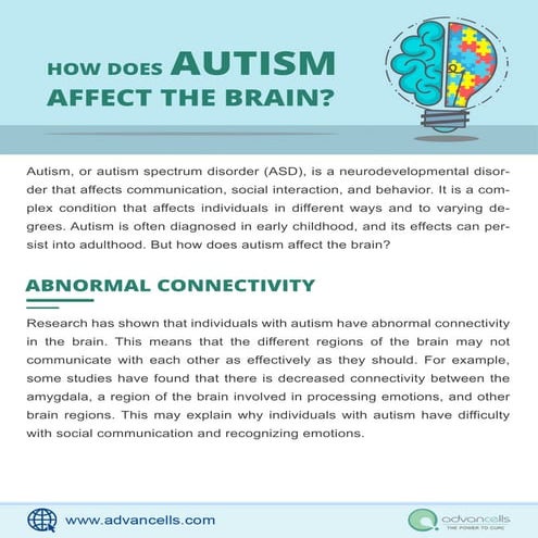How Does Autism Affect The Brain? | PDF