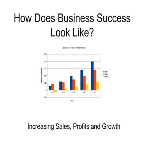 How does business success look like? | PPT