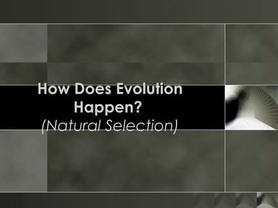 Darwin’s theory of evolution | PPTX | Birdwatching | Hobbies & Interests