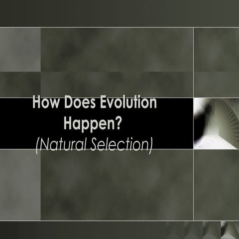 How does evolution happen | PPT
