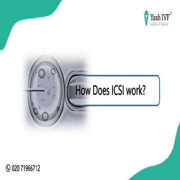 How Does ICSI work (3).pptx