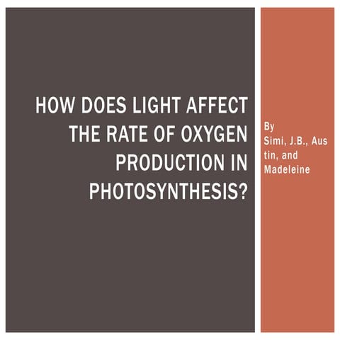 How does light affect the rate of oxygen production in photosynthesis | PPT