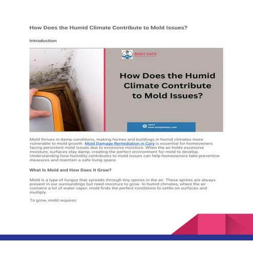How Does the Humid Climate Contribute to Mold Issues_.docx