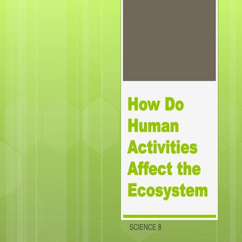 How Do Human Activities Affect the Ecosystem, Prepared by: Edsyl ...