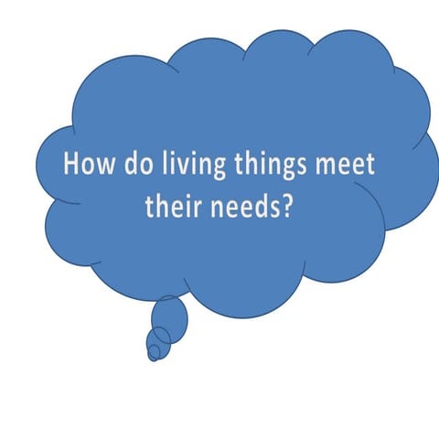 How do living things meet their needs | PPTX