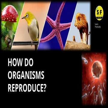How do organisms reproduce by saloni (1).pptx