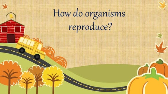 Drosophila Life Cycle and culturing technique.pdf