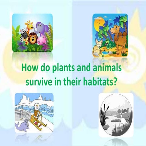 How do plants and animals survive in their habitat | PPTX